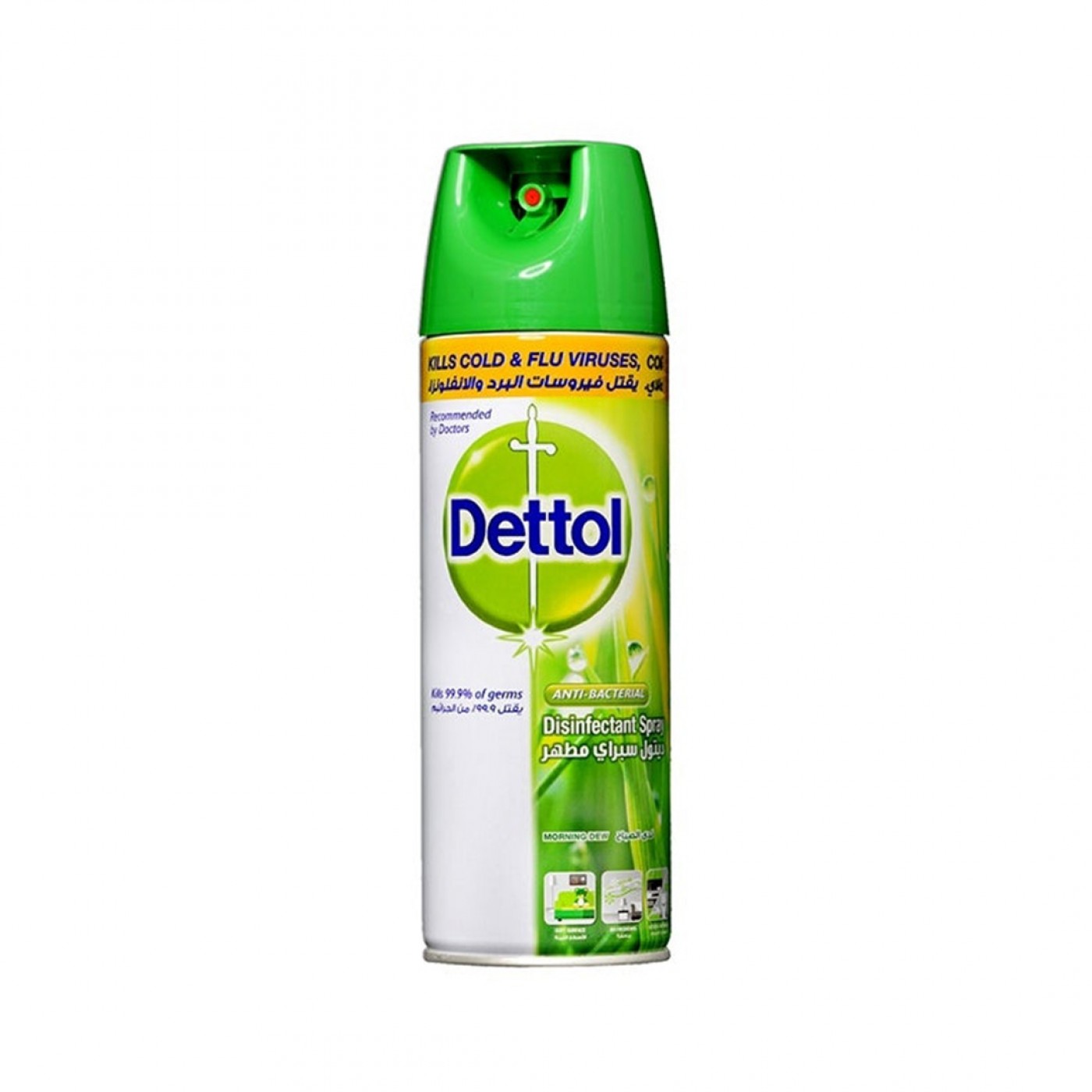 Dettol Morning Dew Fresh Scent Spray 450ML