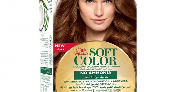 Soft Color Hair Color 67 Chocolate