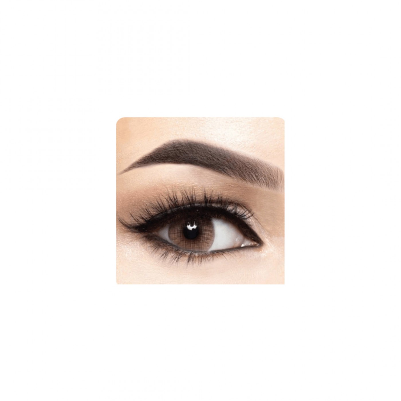 Beauteous Color Lens Exotic Creme